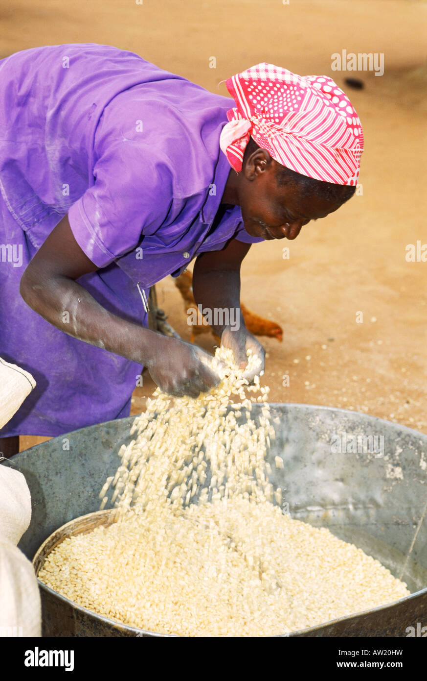 Woman cleaning or chaffing corn or mais in Zimbabwe village Stock Photo ...