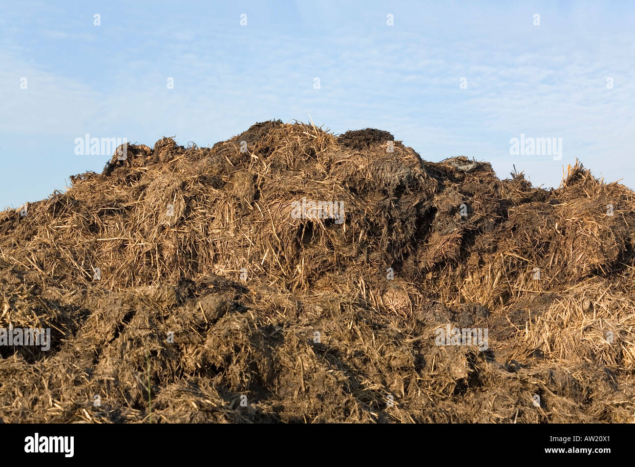 Dung midden hi-res stock photography and images - Alamy