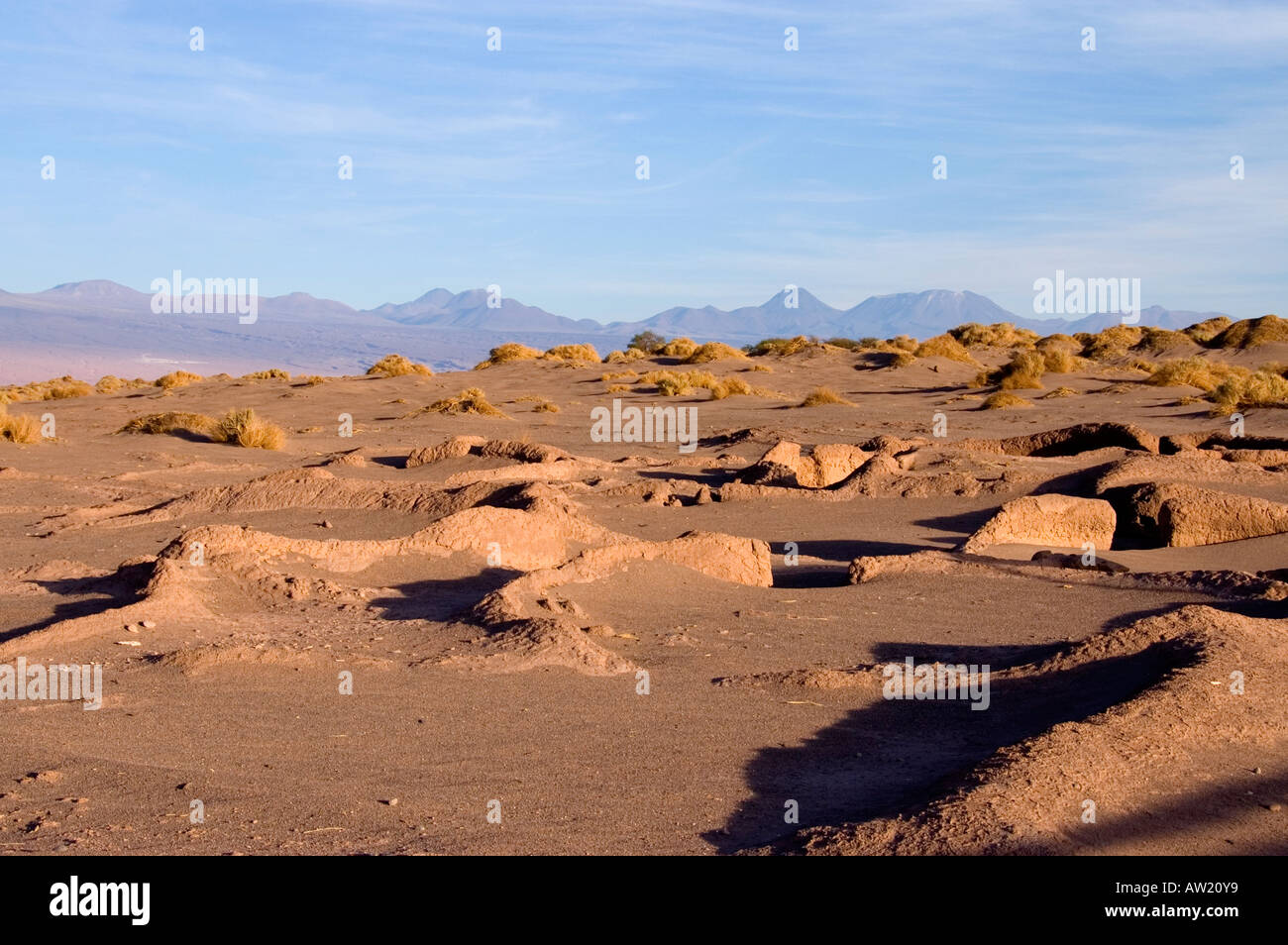 Chile Atacama Desert Aldea de Tulor village archeological ruin old town ...
