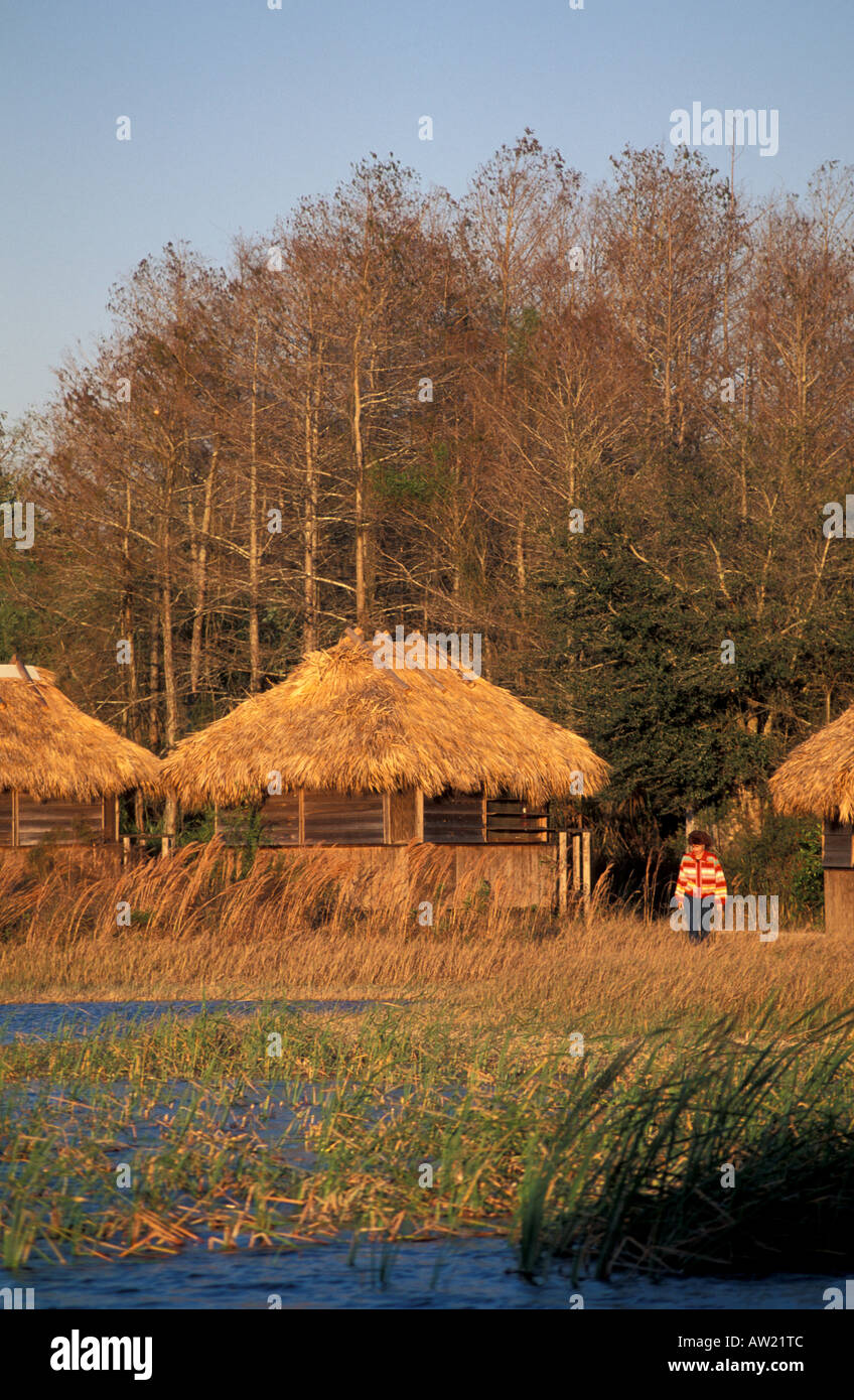 Florida Seminole indian traditional Indian chickees thatch roof ...