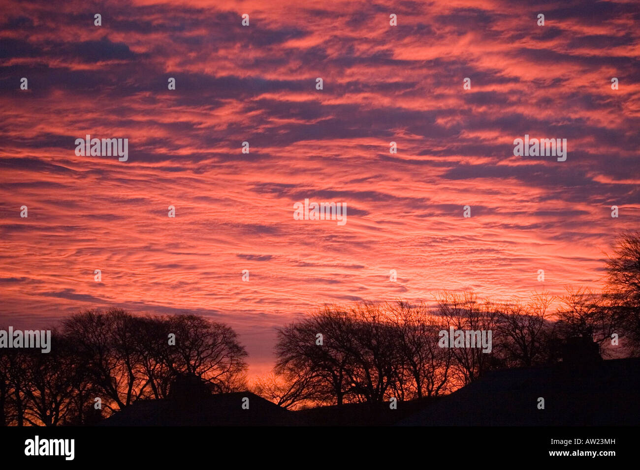 Winter sunset over tree-tops (1 Stock Photo - Alamy