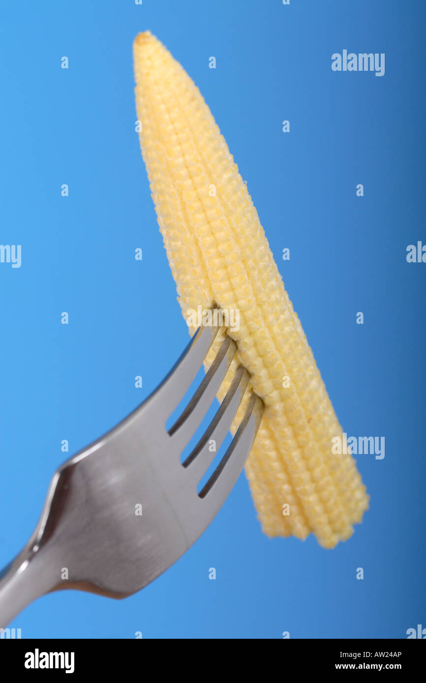 Veg on a fork hi-res stock photography and images - Alamy