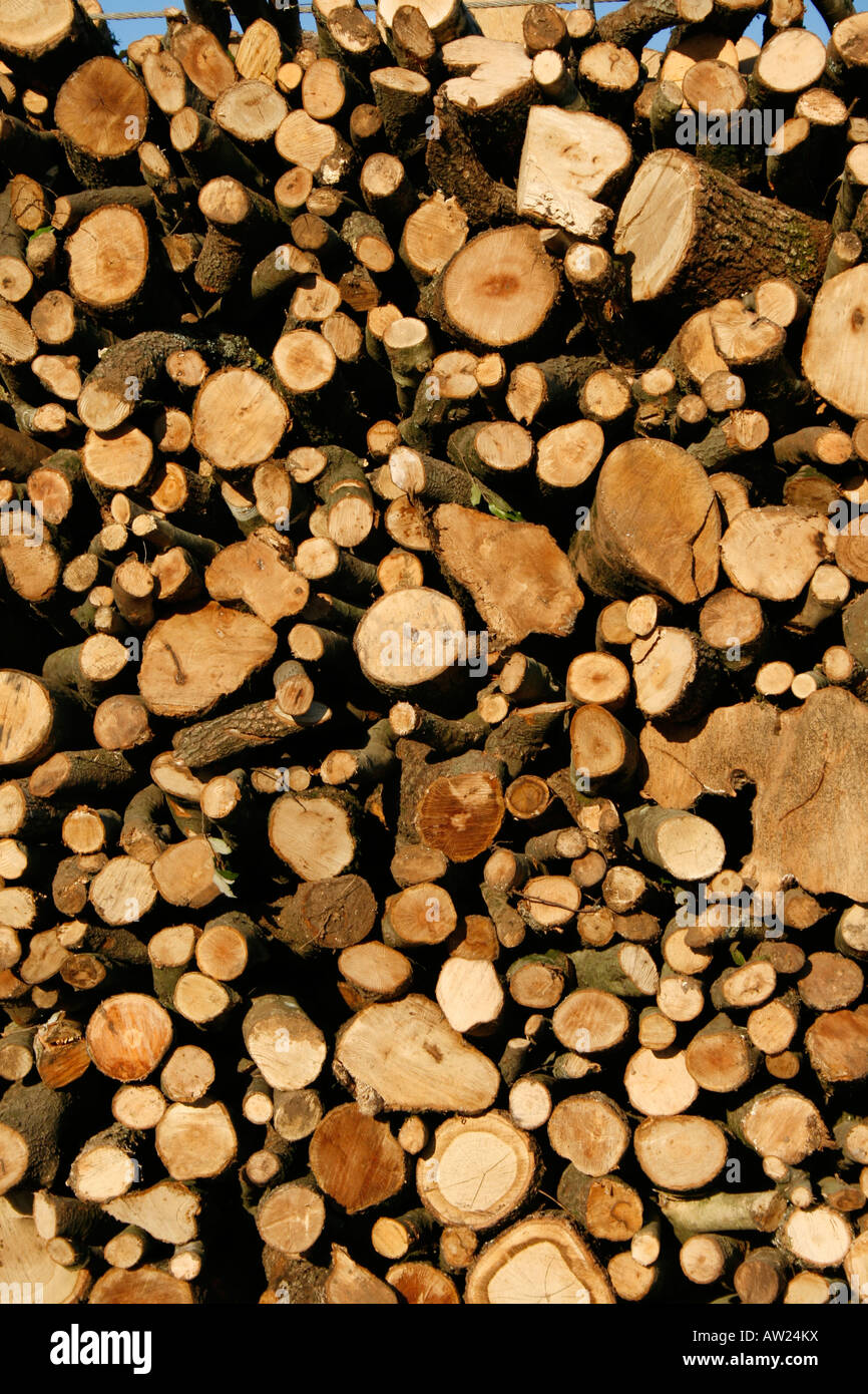 pile of wooden logs Stock Photo - Alamy
