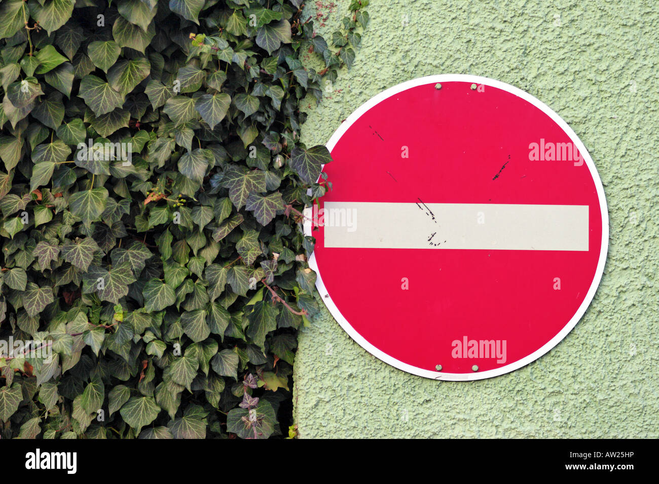 No entry sign on green wall next to ivy Stock Photo - Alamy