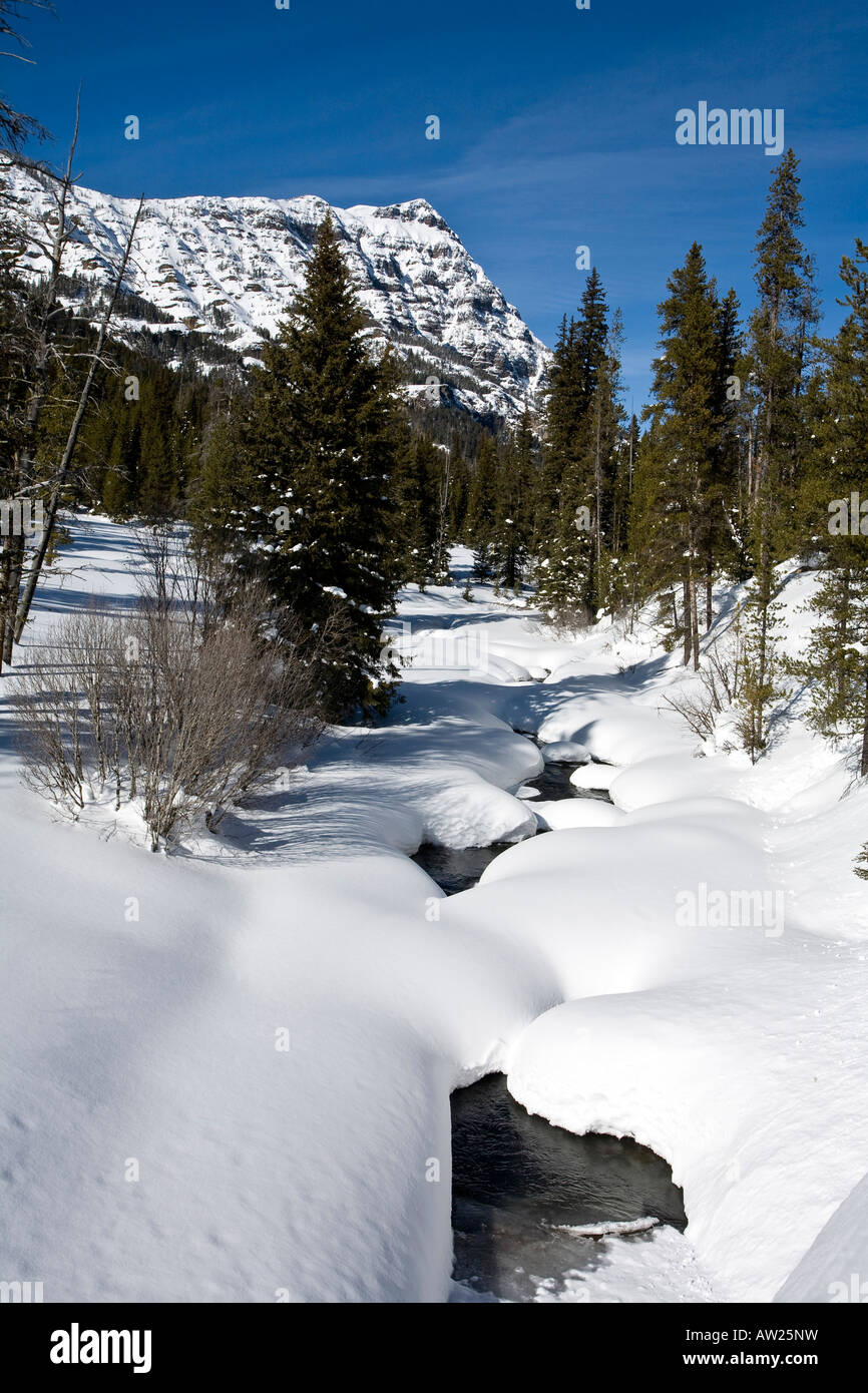 Winter scene stream snow hi-res stock photography and images - Alamy