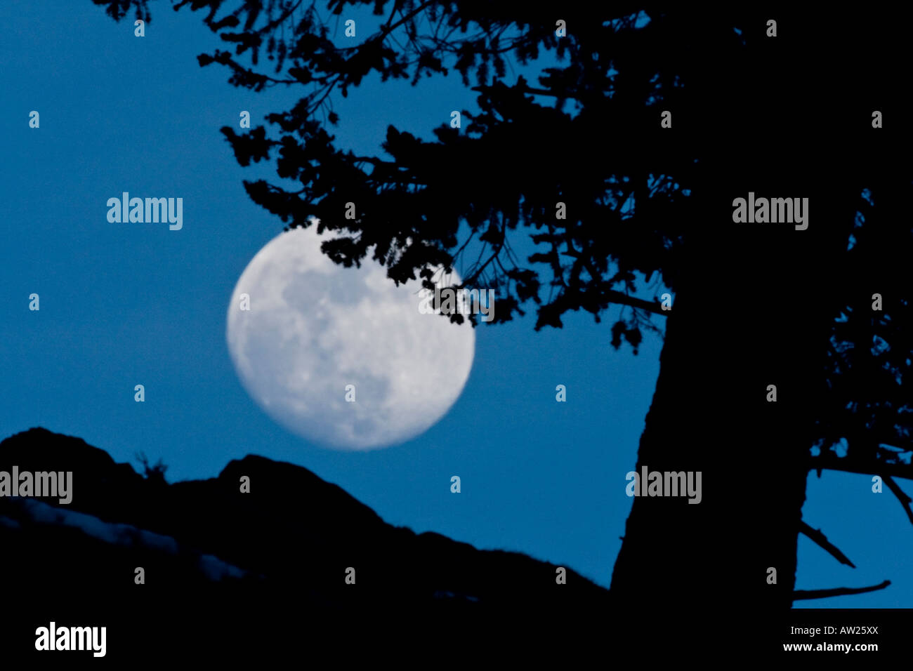 Full moon yellowstone national park hi-res stock photography and images ...