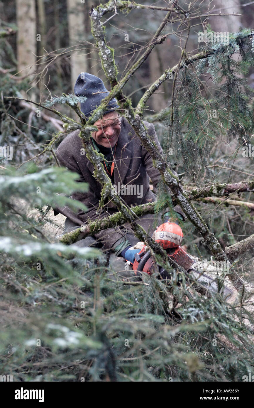 Local farmer removing branches from a felled tree Stock Photo - Alamy
