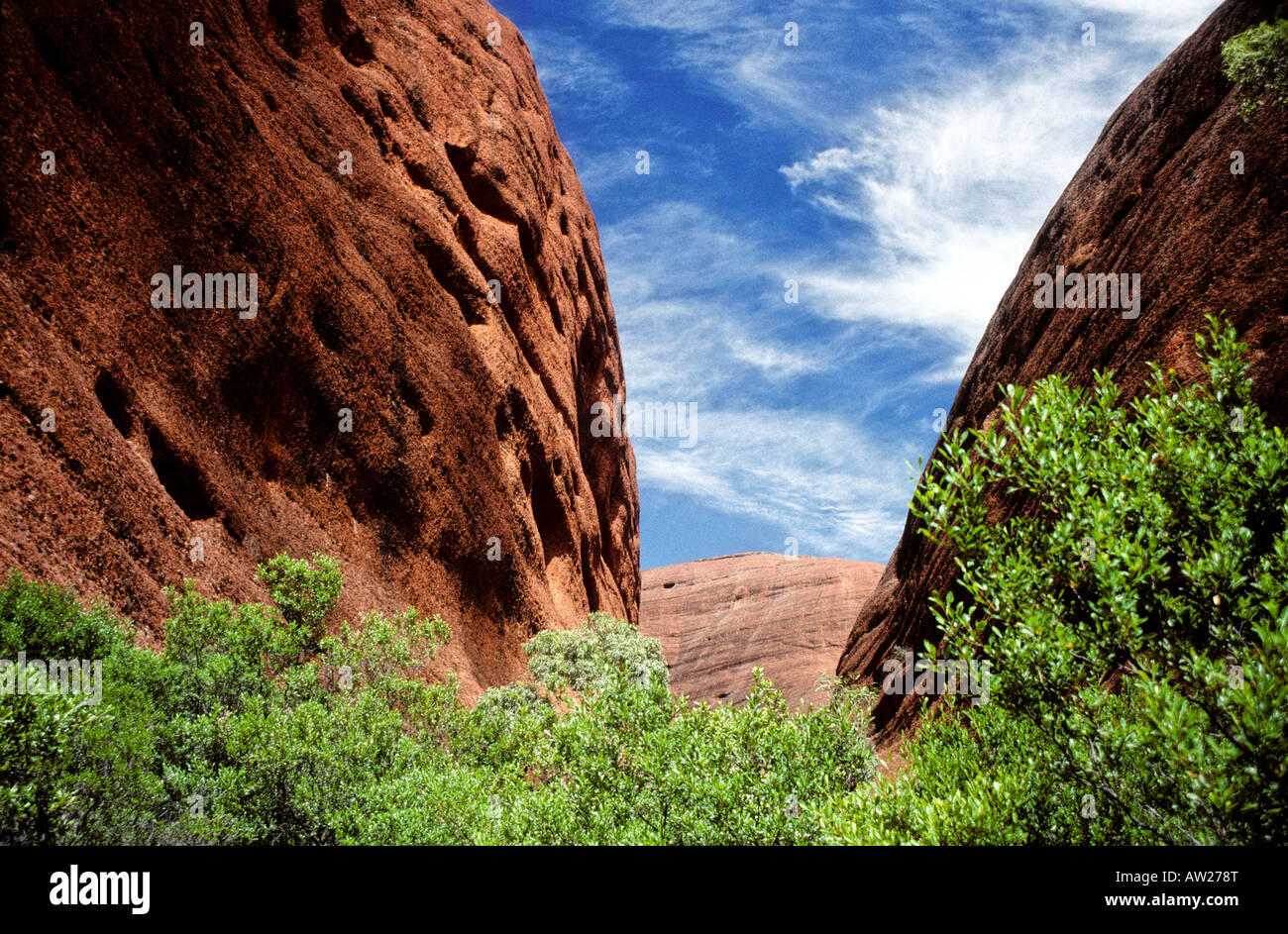 Kata Tjuta (the Olgas), Australia Stock Photo - Alamy