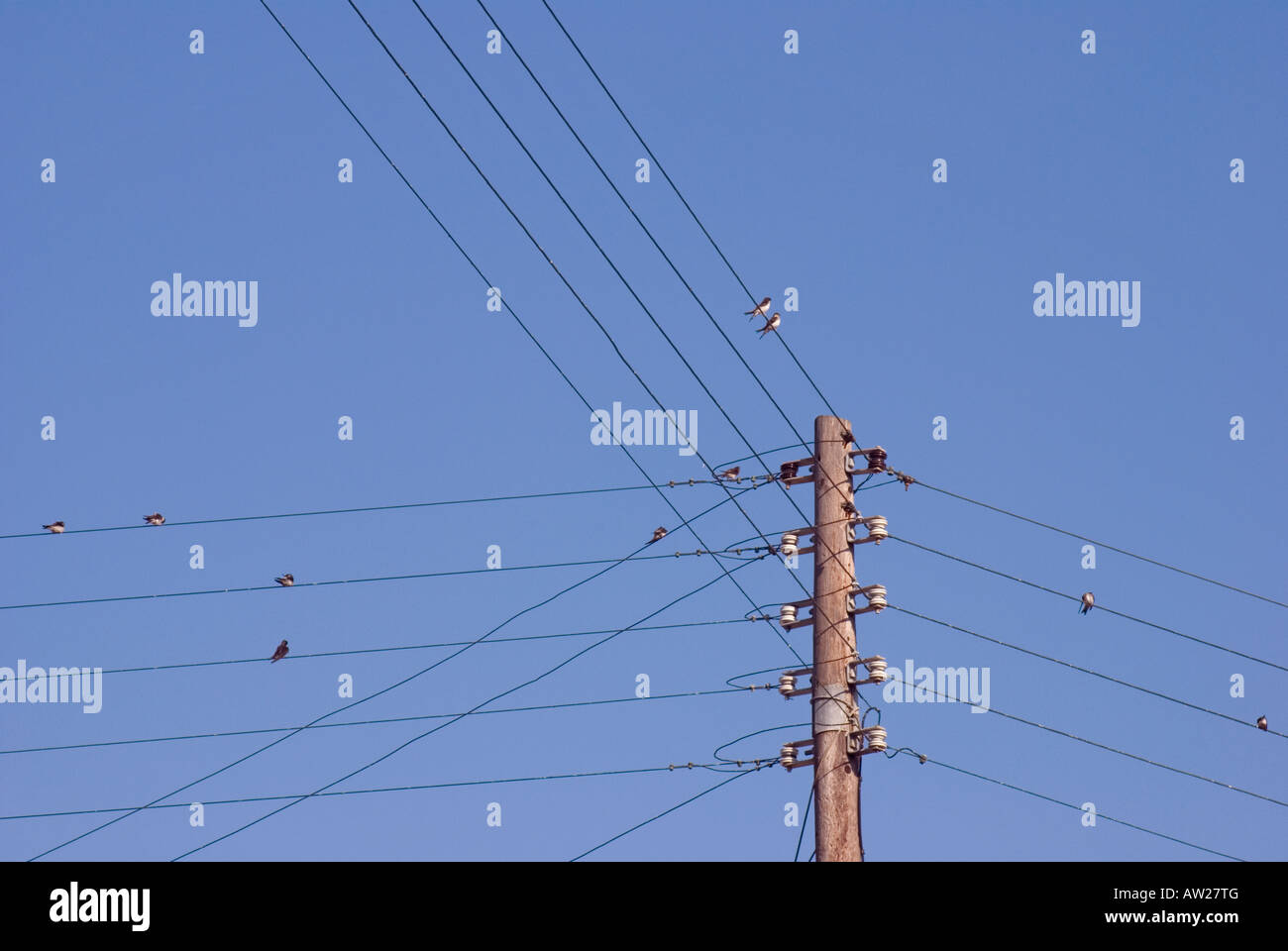 Pole overloaded hi-res stock photography and images - Alamy