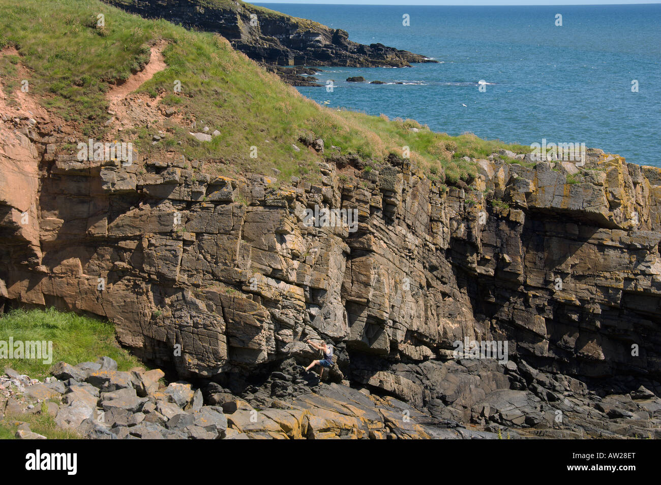 Collieston harbour hi-res stock photography and images - Alamy