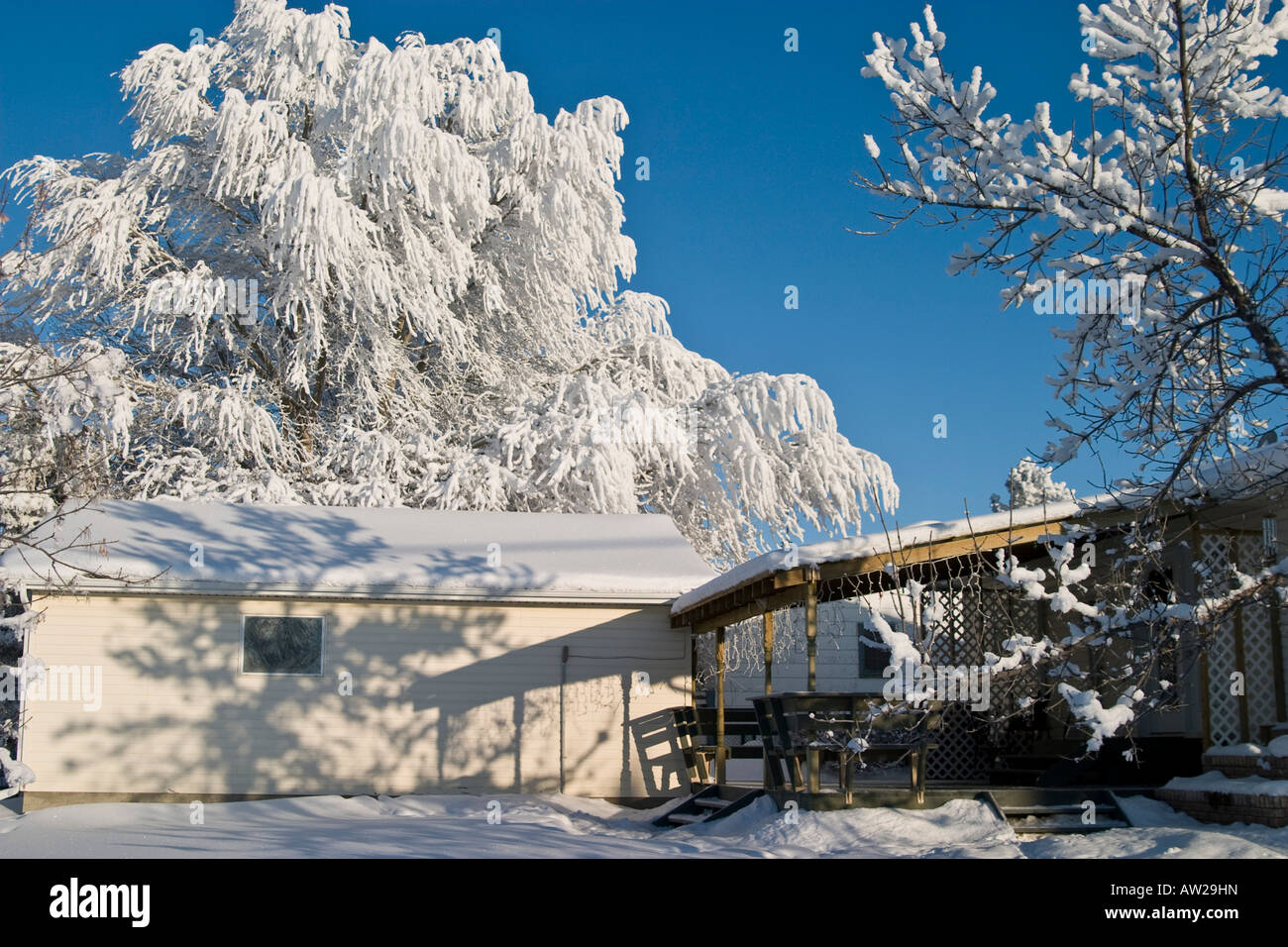 Hoar frost after cold storm Stock Photo - Alamy