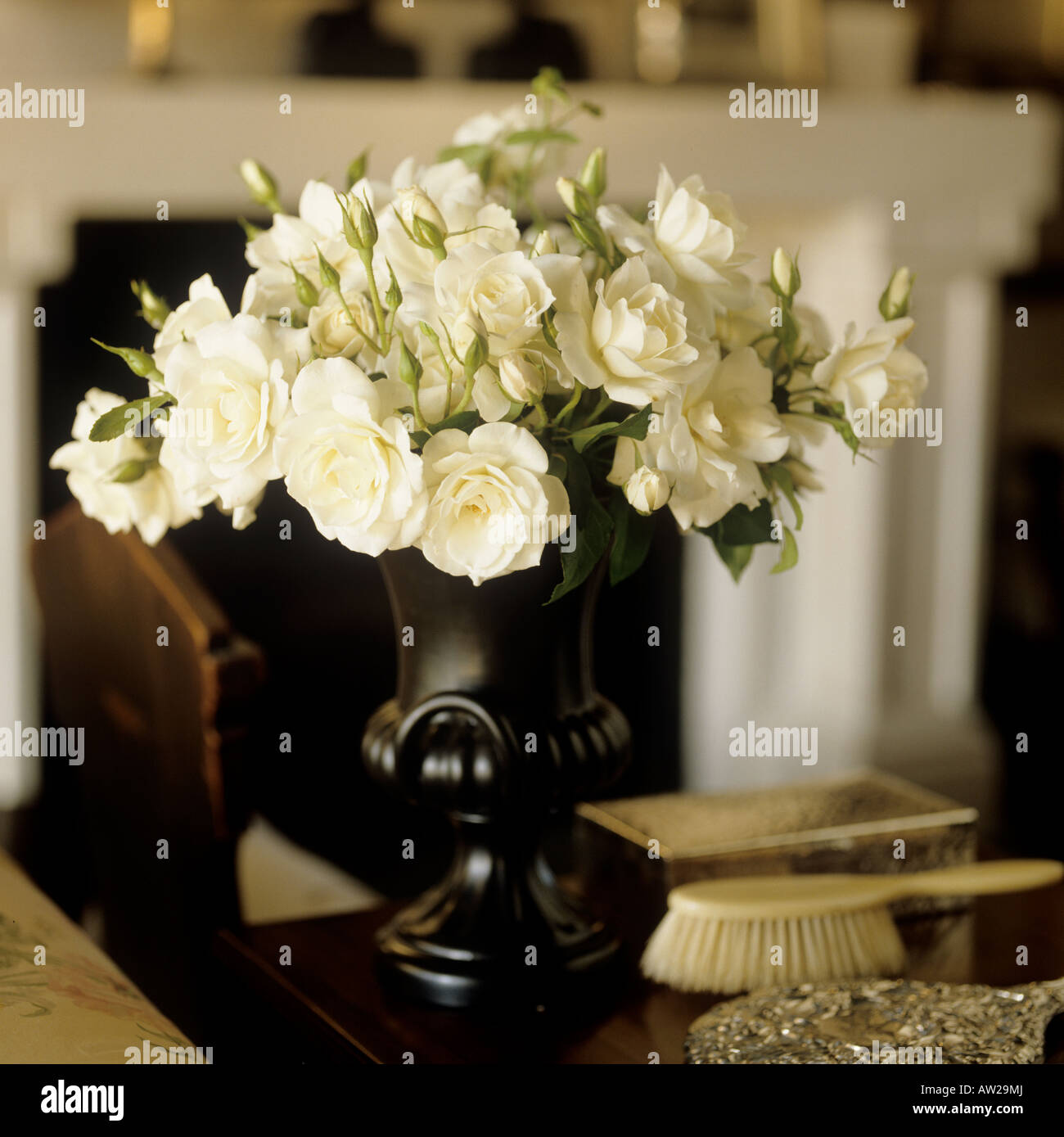 Iceberg rose image hi-res stock photography and images - Alamy