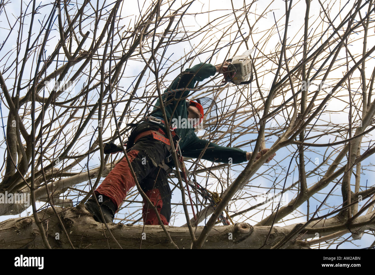 Cutting off branches hi-res stock photography and images - Alamy