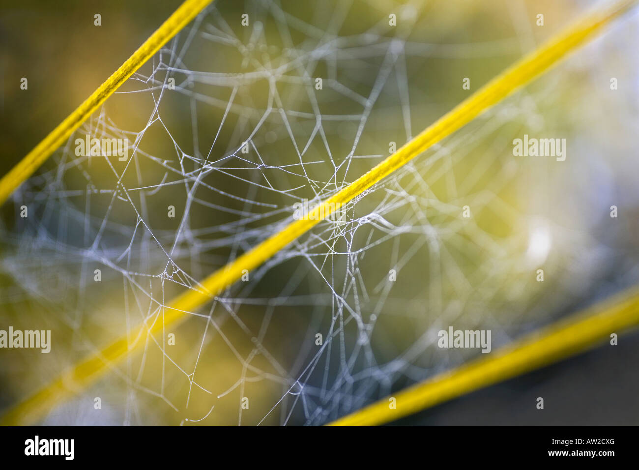 Morning dew on a washing line Stock Photo - Alamy