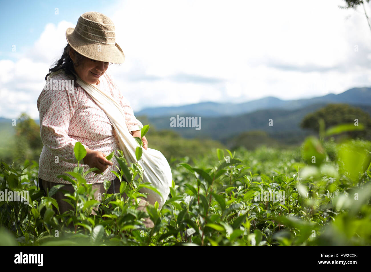 Chaimate hi-res stock photography and images - Alamy
