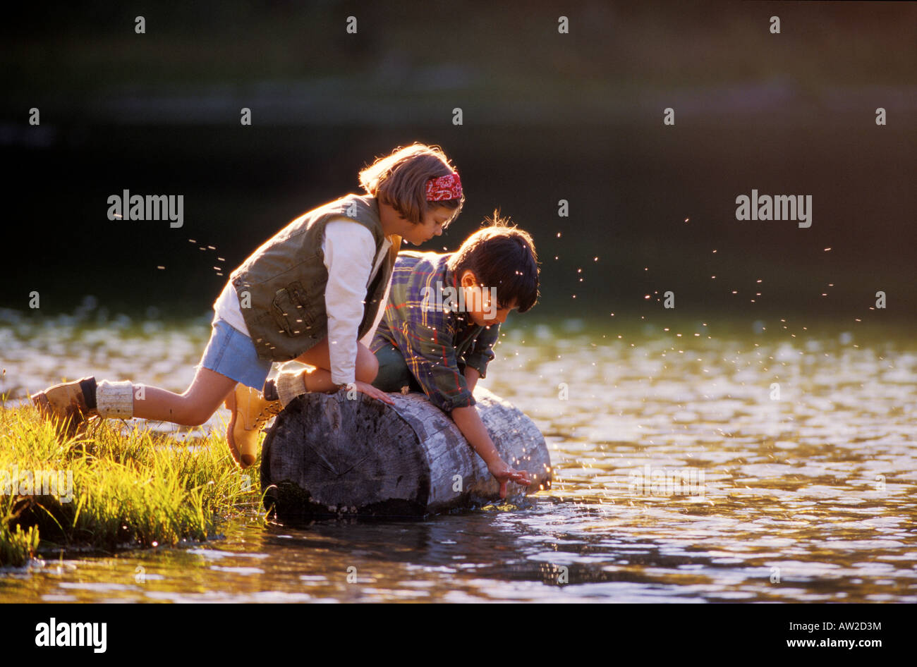 A seven year old girl and a ten year old boy perch on a log and play in ...