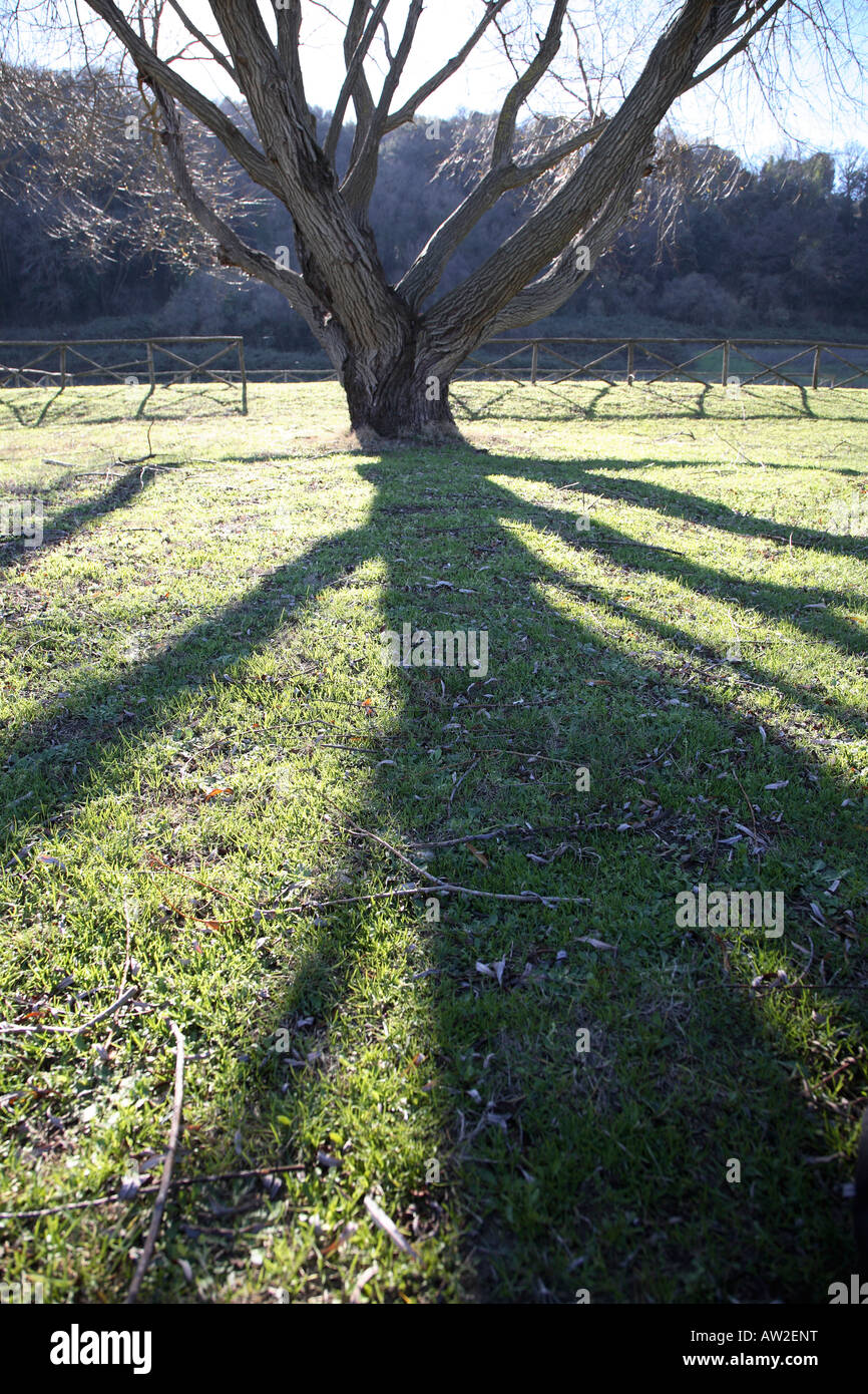 Long shadows on ground hi-res stock photography and images - Alamy