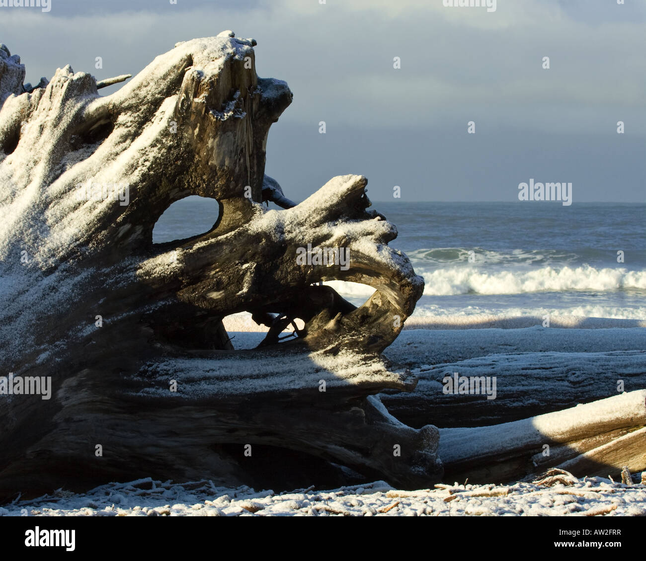 Snow on Driftwood, First Beach, La Push, Washington, USA Stock Photo ...