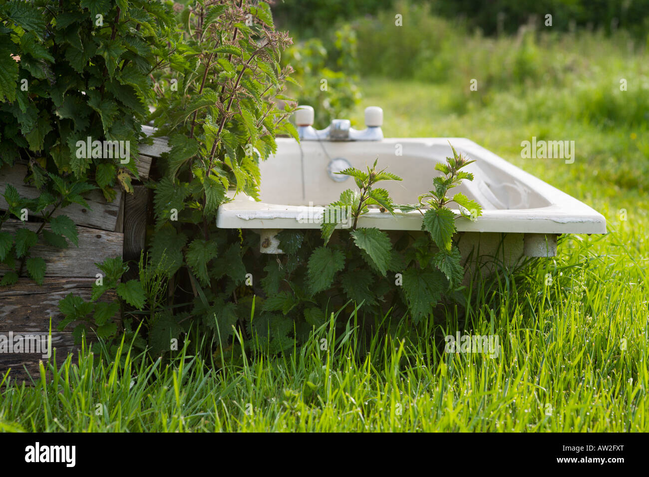 Old bath on allotment to save water Stock Photo - Alamy