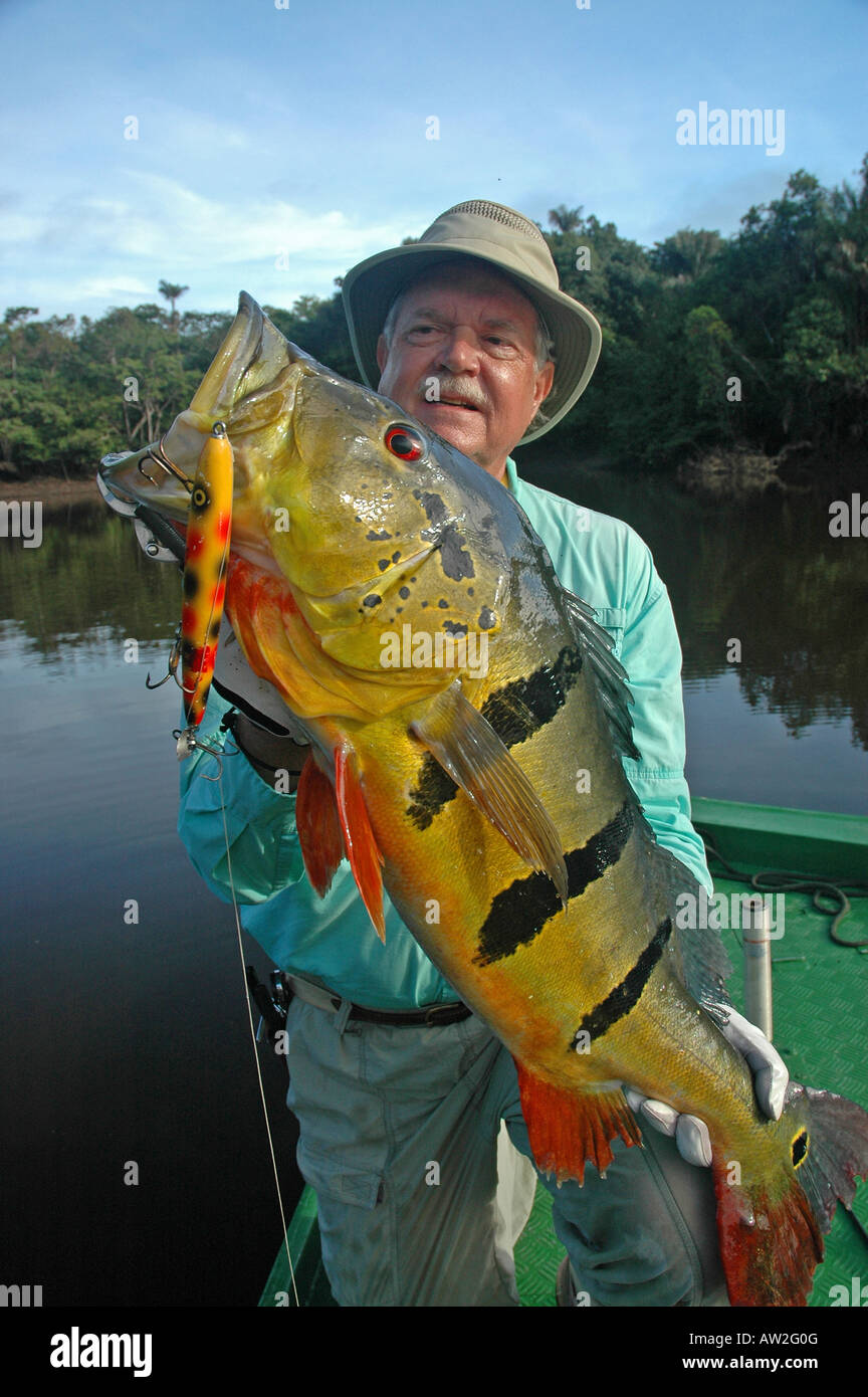 An angler admires a 17 pound peacock bass caught on a topwater plug ...