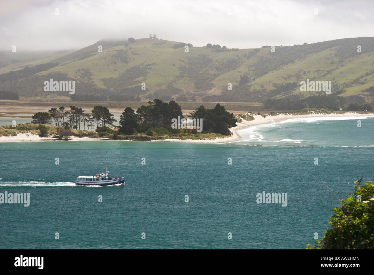 Aramoana from Taiaroa Head, Otago Peninsula, New Zealand Stock Photo ...