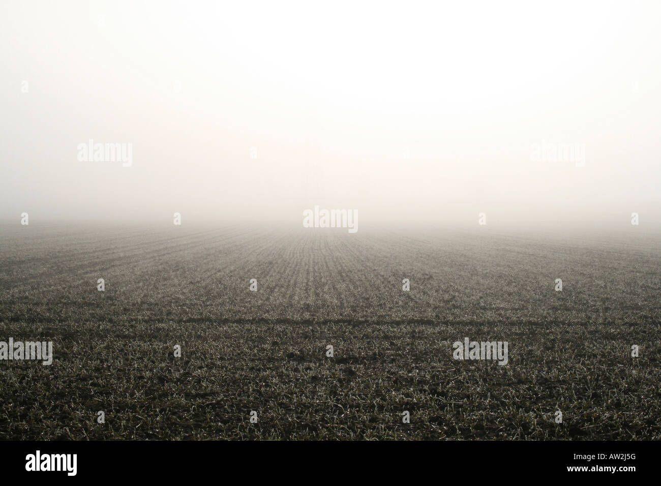 Poor visibility in endless white fog over a ploughed filed Stock Photo ...