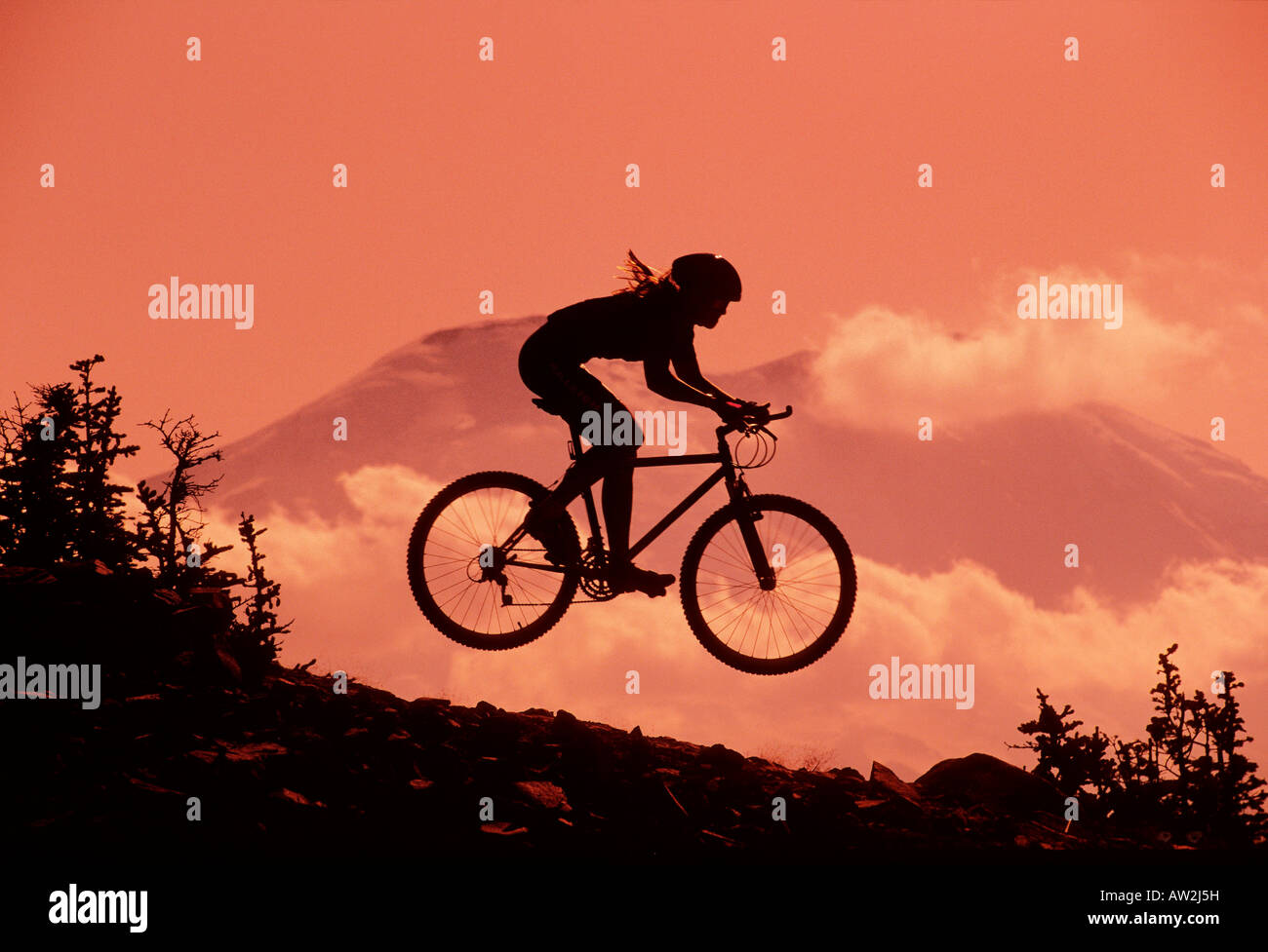 A female mountain biker goes airborne off a bump as Mount Rainier glows ...