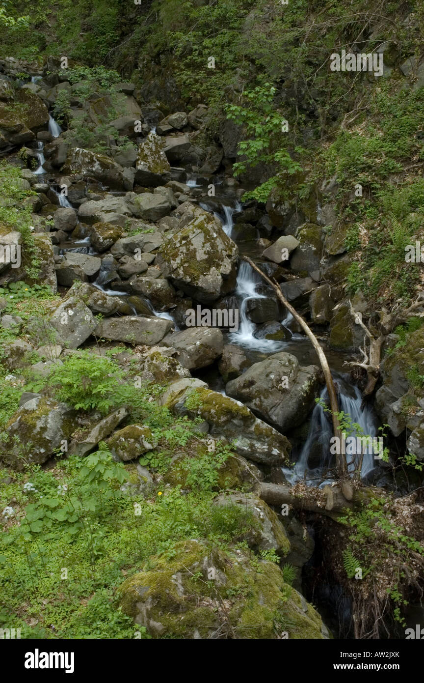 Rock stream on Tuscan hillside Stock Photo - Alamy