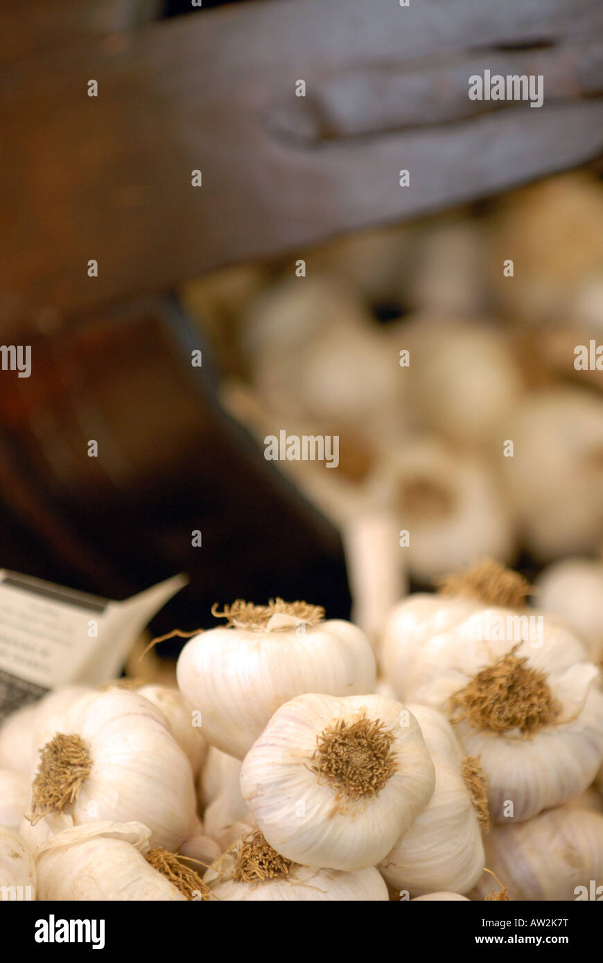 Isle of wight garlic farming hi-res stock photography and images - Alamy