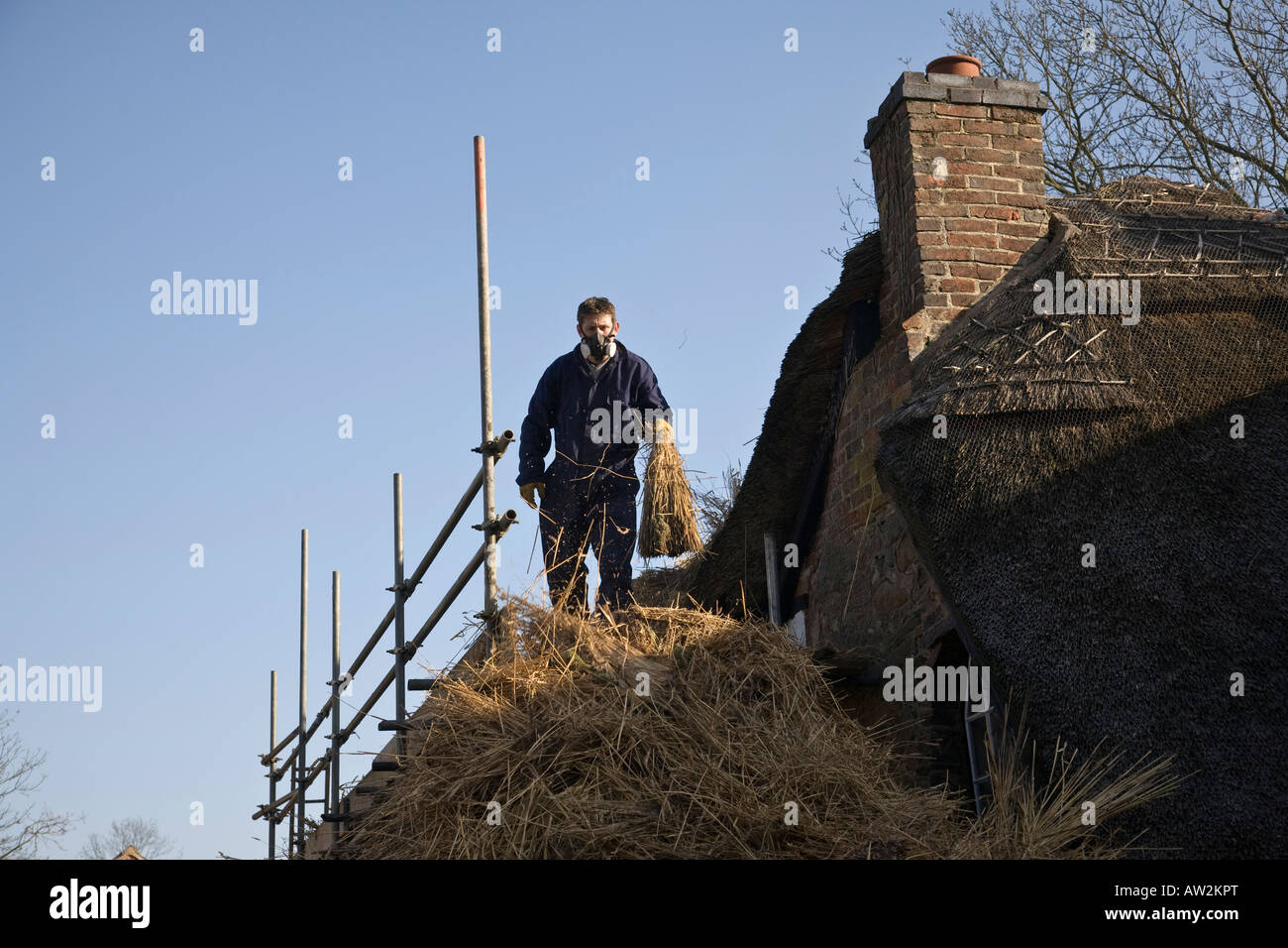 A thatcher removing the old thatch from the roof of a house in Newtown ...