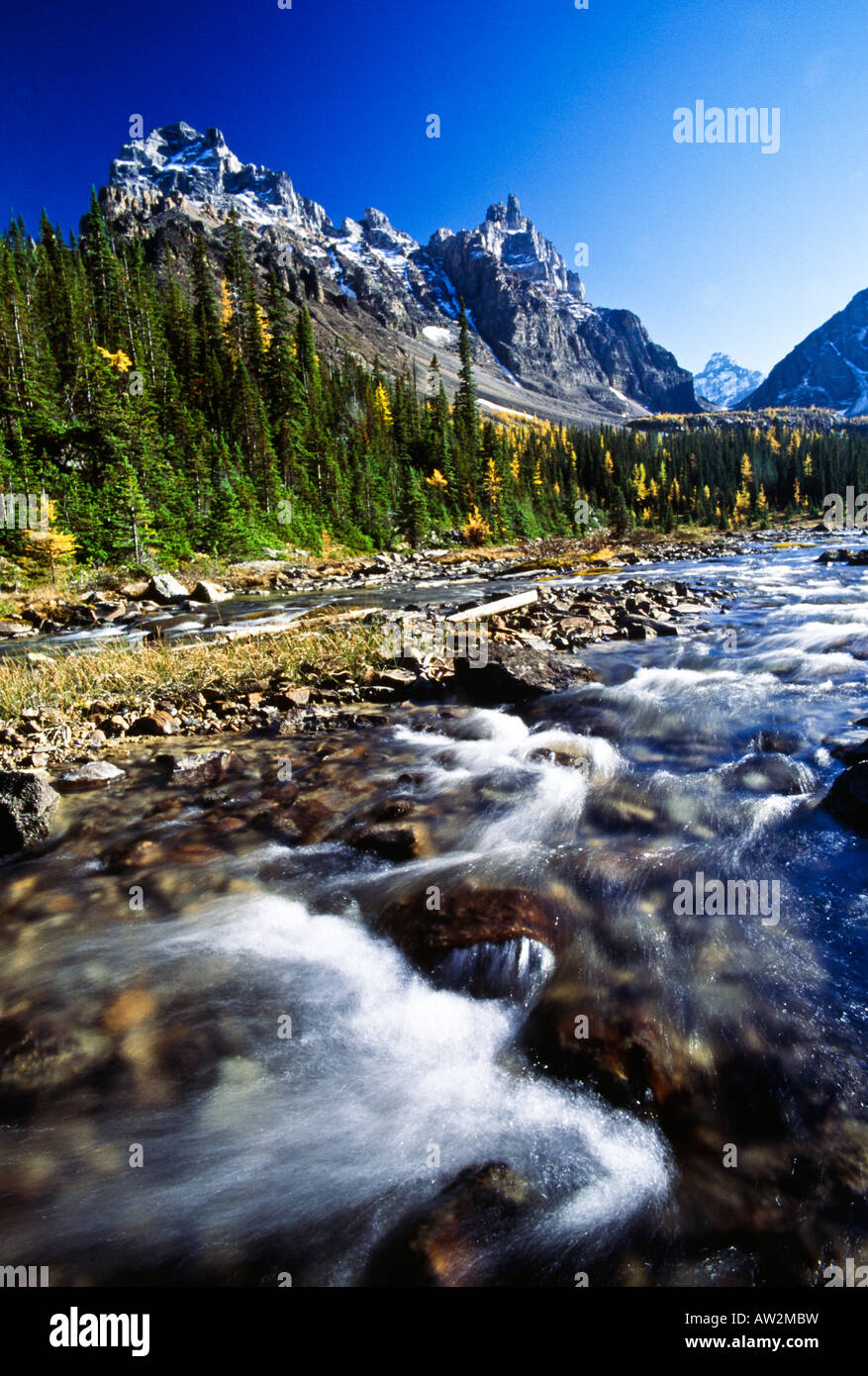 Paradise valley banff national park hi-res stock photography and images ...