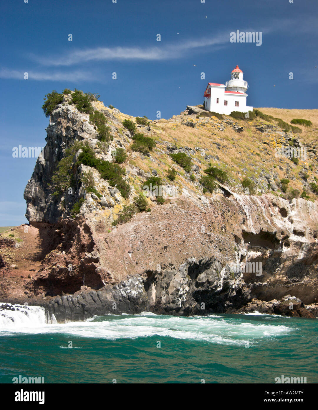 Lighthouse, Taiaroa Head, Otago Peninsula, New Zealand Stock Photo - Alamy