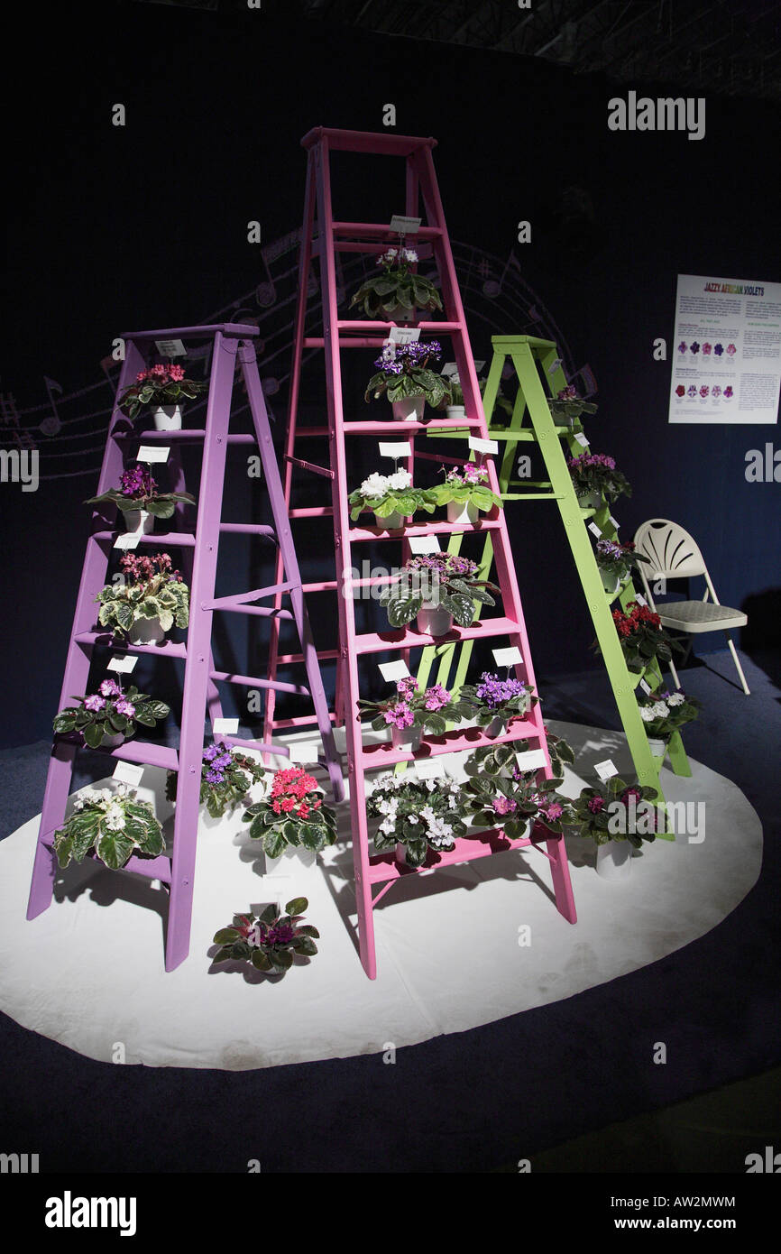 Brightly colored step ladders in pink purple and green with African ...