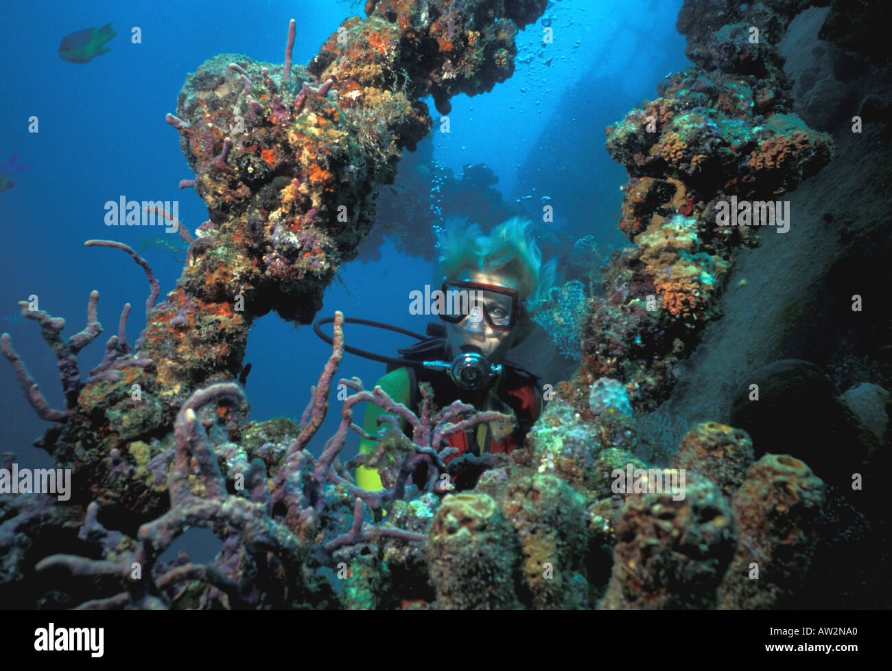 Antilla wreck hi-res stock photography and images - Alamy
