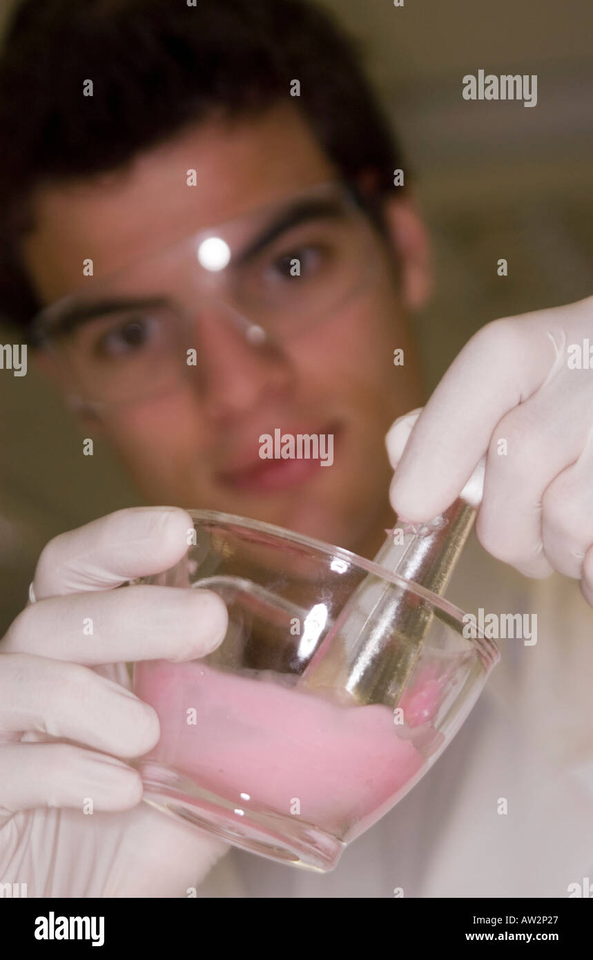 Science student mortar and pestle hi-res stock photography and images ...