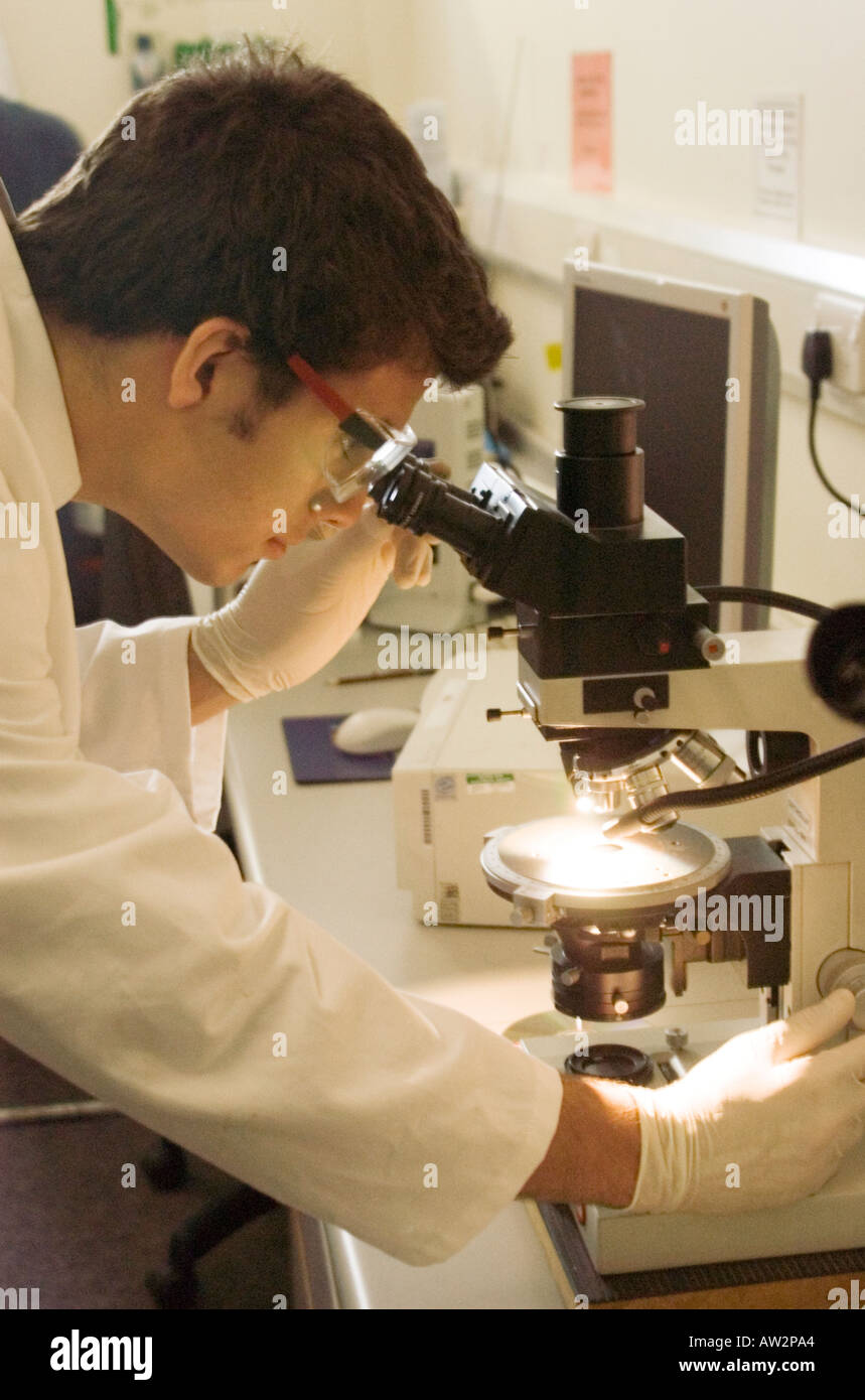 Boy microscope white coat hi-res stock photography and images - Alamy