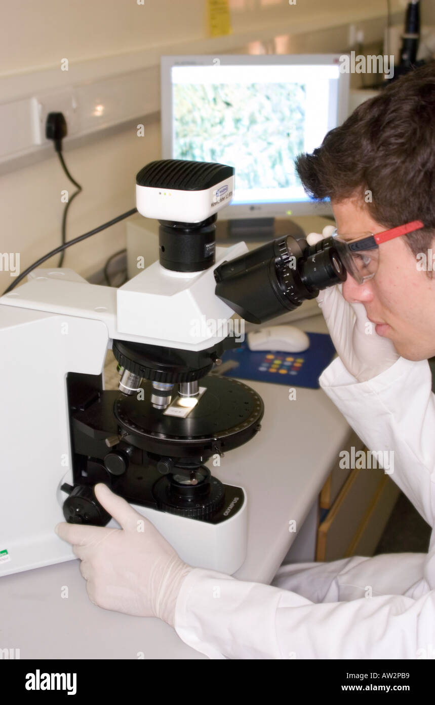 Boy microscope white coat hi-res stock photography and images - Alamy