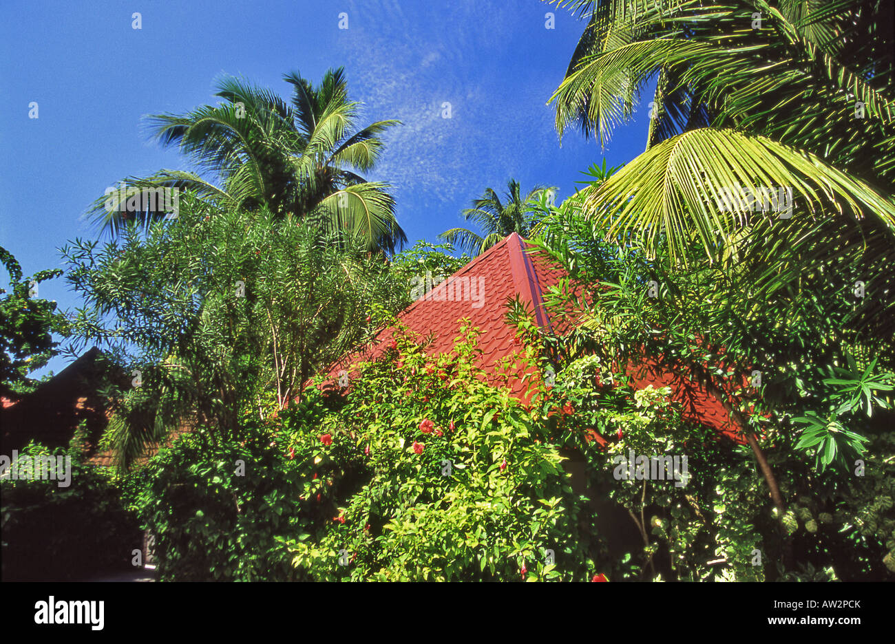 Club Med cottages, North Male Atoll, Maldives Stock Photo - Alamy