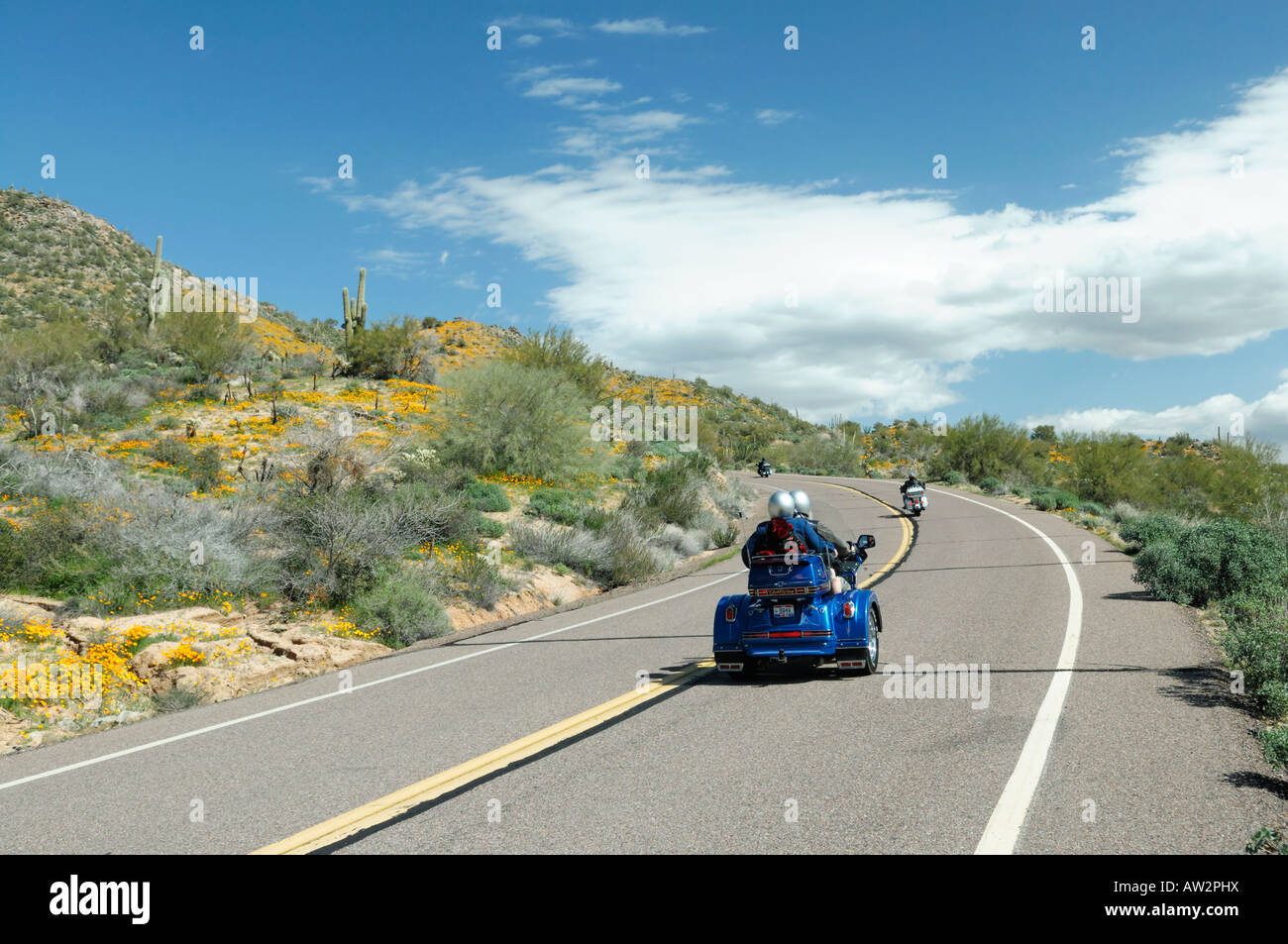 Motorcycle riders crusing along a desert road during a spring bloom of ...