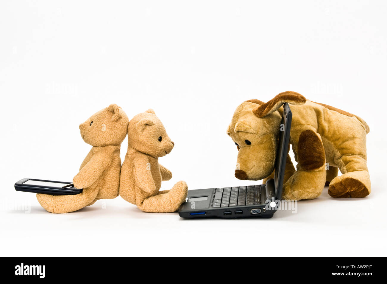 two stuffed bears working on small laptop with dog watching from back ...