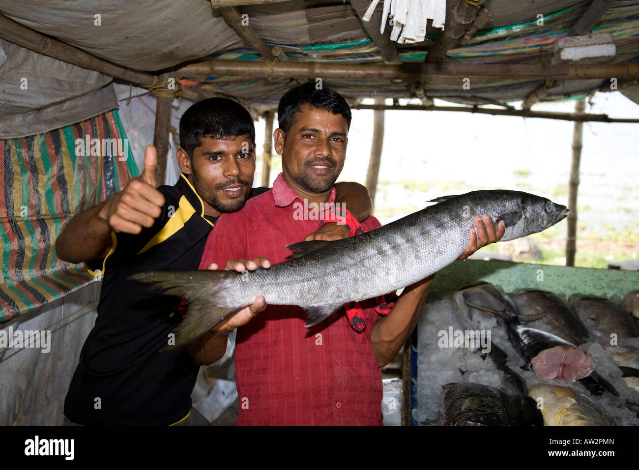 Fishmonger holding large fish, Fort Cochin, Cochin, Kerala, India Stock ...