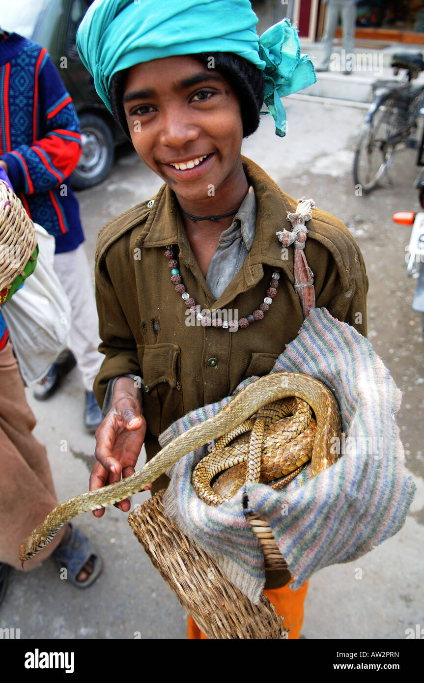 A young snake charmer shows one of his snakes to the public in the holy ...