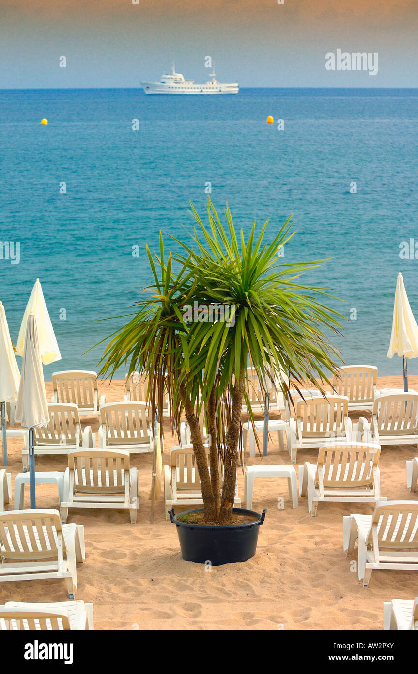 Beach of Cannes France French Riviera Stock Photo - Alamy