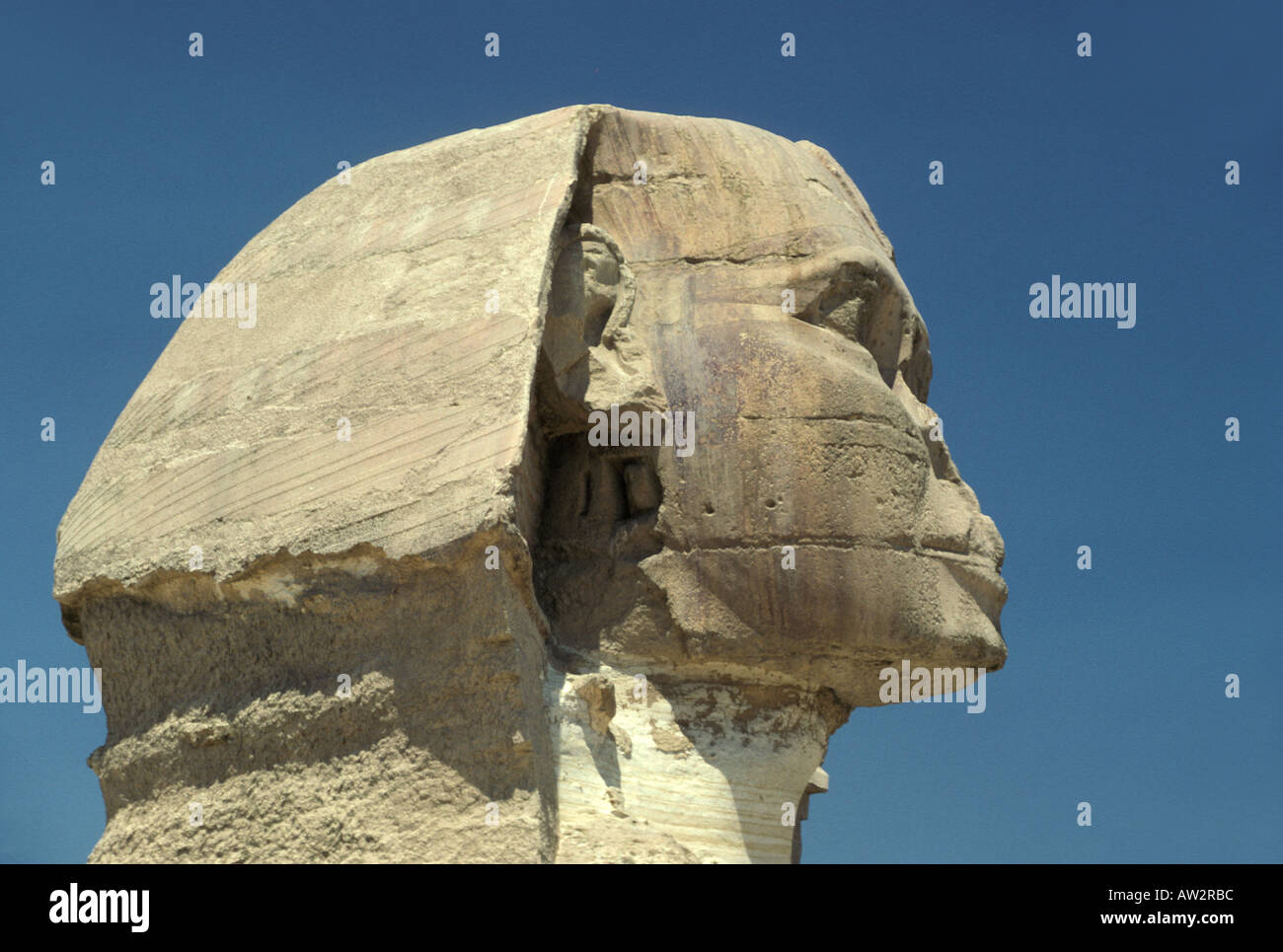 Close up head great sphinx hi-res stock photography and images - Alamy