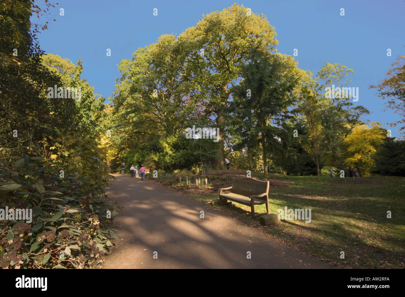 batsford arboretum near moreton in the marsh the cotswolds photographed ...
