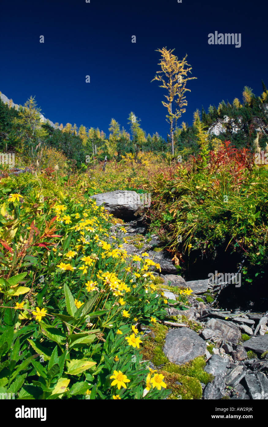 Floe lake kootenay national park hi-res stock photography and images ...