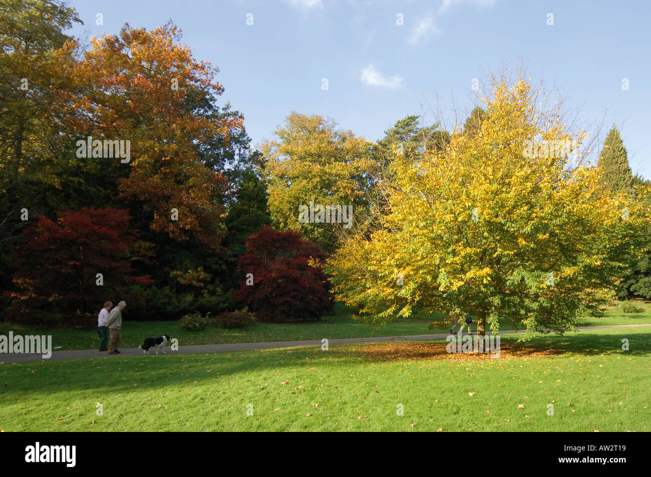 batsford arboretum near moreton in the marsh the cotswolds photographed ...