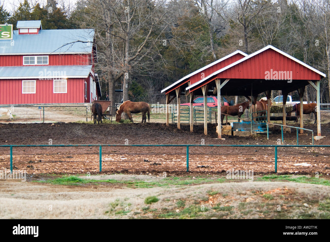 Equestrian stables hi-res stock photography and images - Alamy