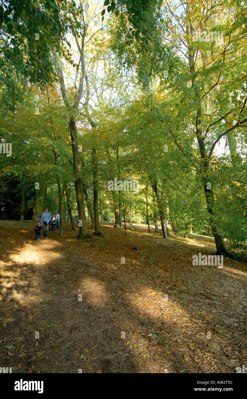 batsford arboretum near moreton in the marsh the cotswolds photographed ...