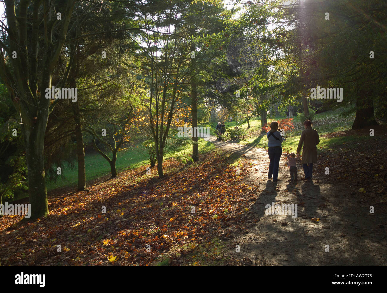 batsford arboretum near moreton in the marsh the cotswolds photographed ...